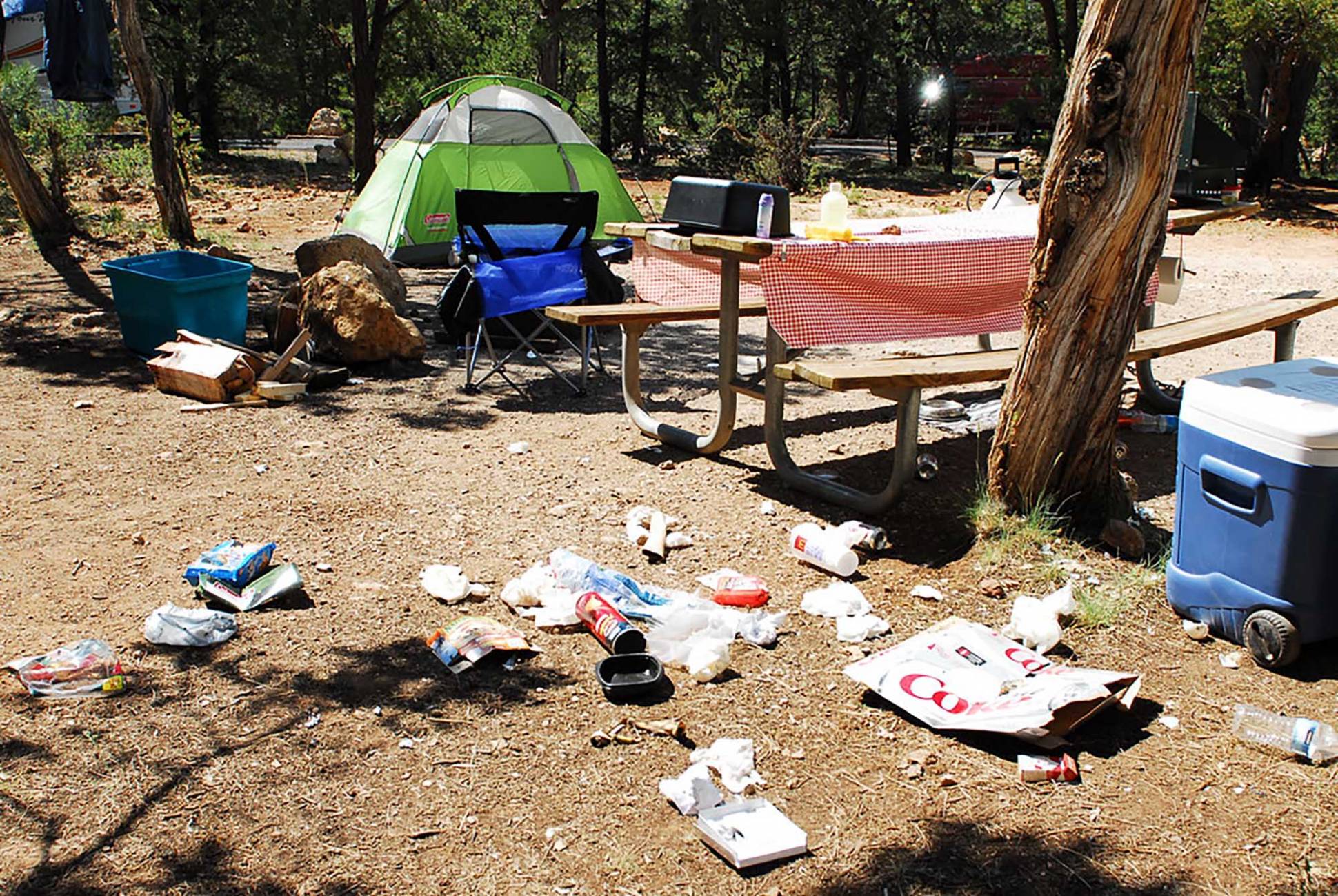 Campaign Will Reveal Data on Plastic Pollution in National Parks ...