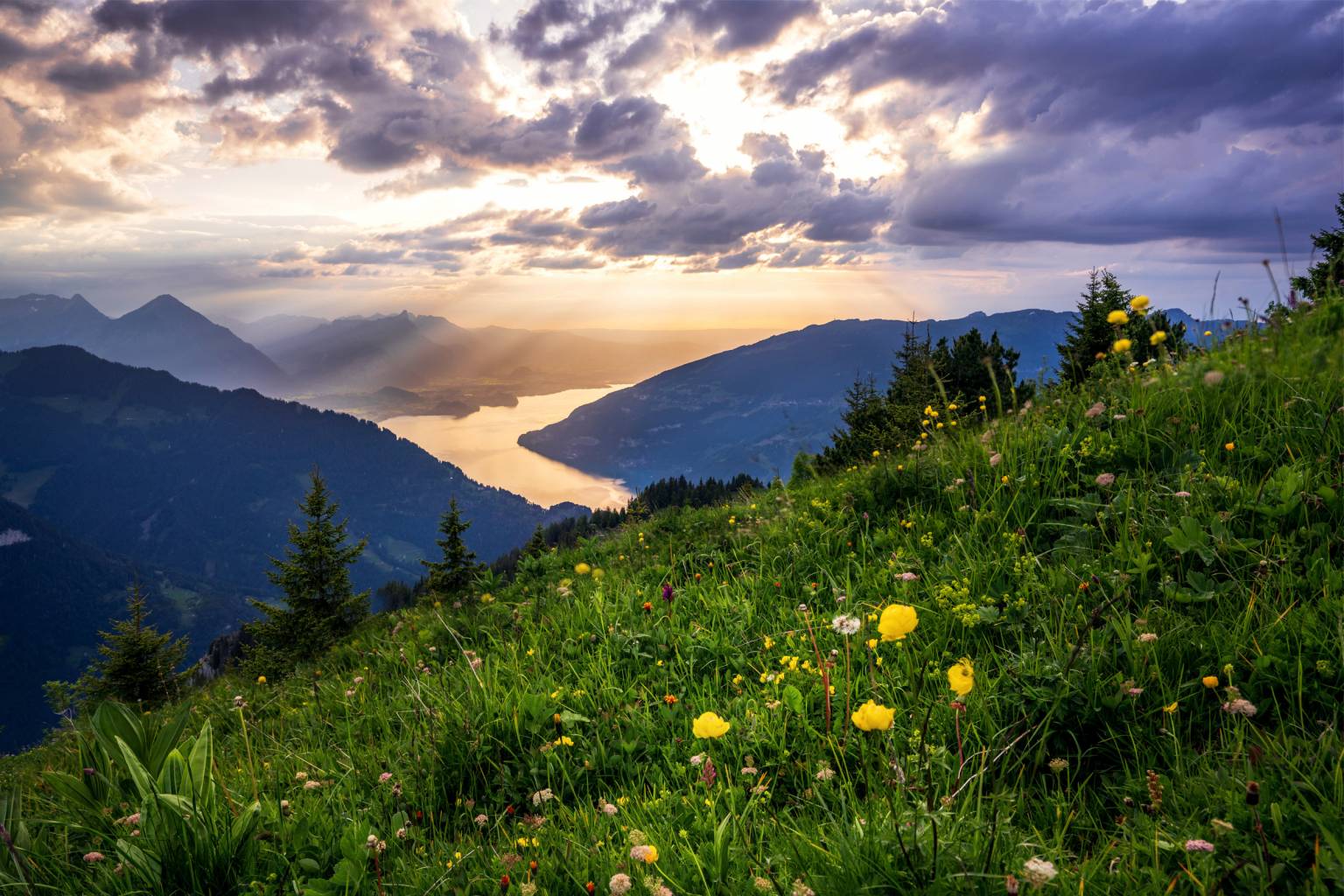 Why Summer in Grindelwald, Switzerland, Belongs on Your Bucket List ...