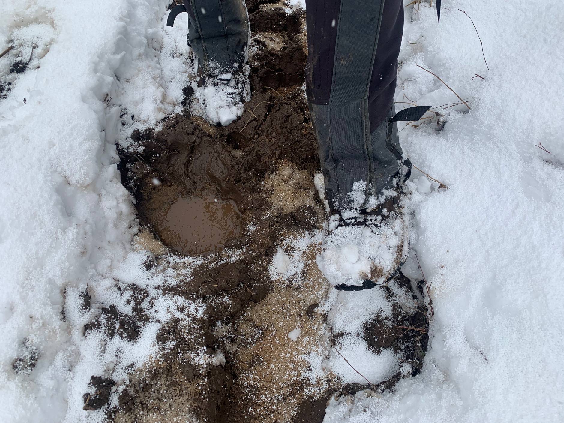 Danner Recurve Hunting Boot Review: 2 Years of Use & Abuse | GearJunkie