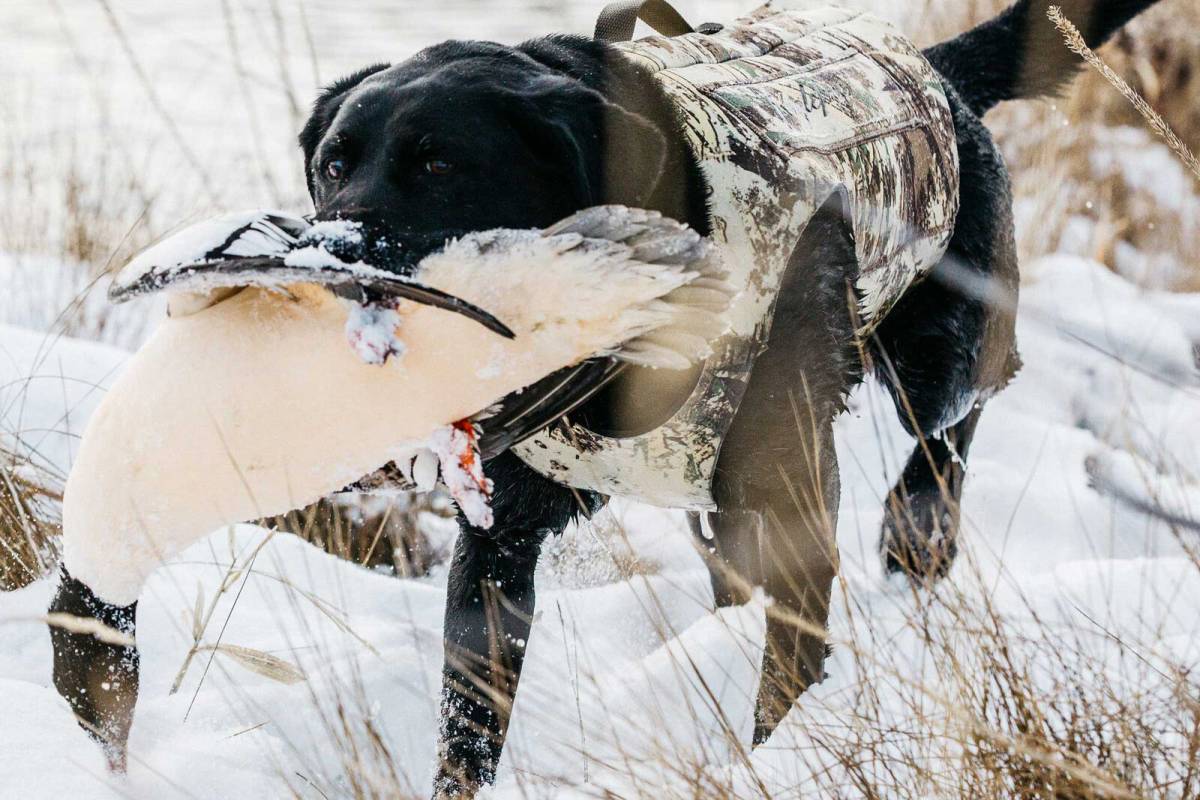 First Lite Launches Typha: A Full Kit for Waterfowl Hunters | GearJunkie