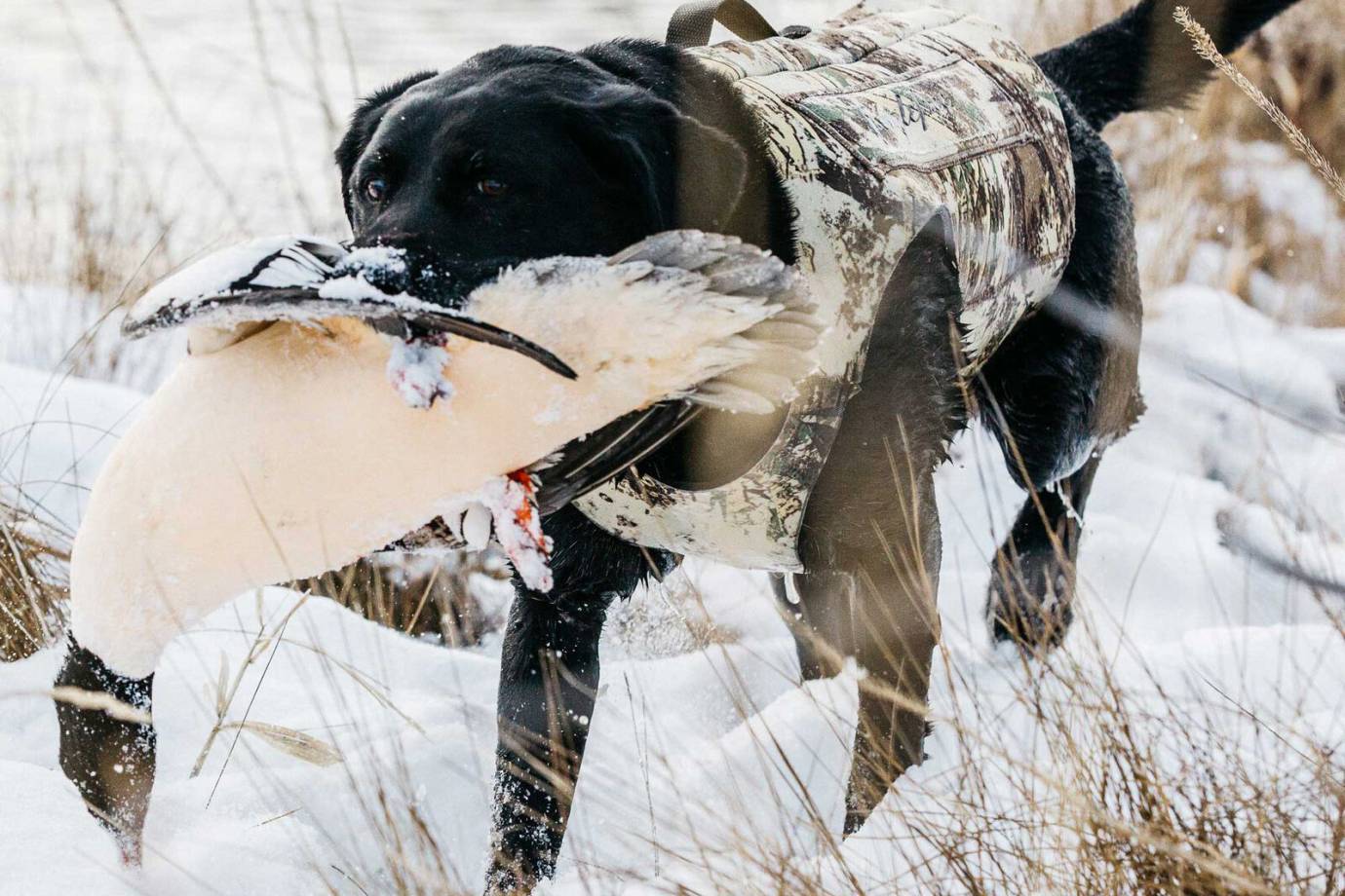 First Lite Launches Typha: A Full Kit for Waterfowl Hunters | GearJunkie