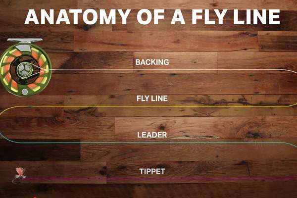 Fly Fishing 101: How to Choose a Fly Rod | GearJunkie