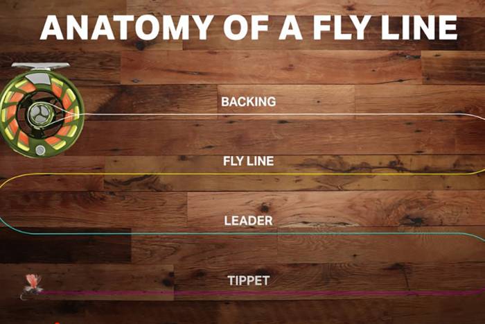Fly Fishing 101: How to Choose a Fly Rod | GearJunkie