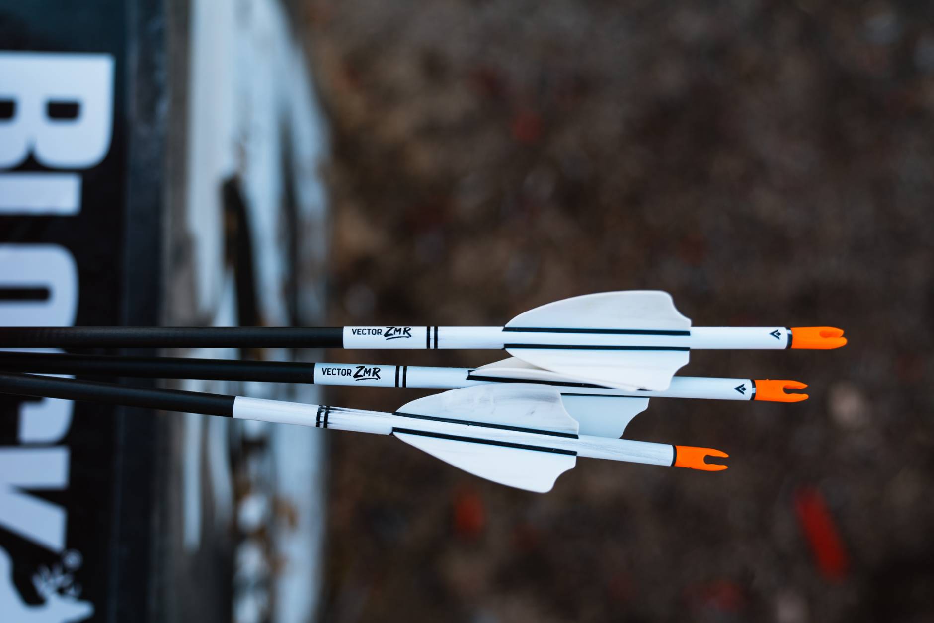 Is Vector Arrows Disrupting the Arrow Industry?