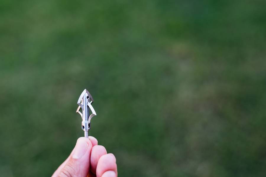 Outstanding Accuracy, Devastating Results: Evolution Outdoors Jekyll ...