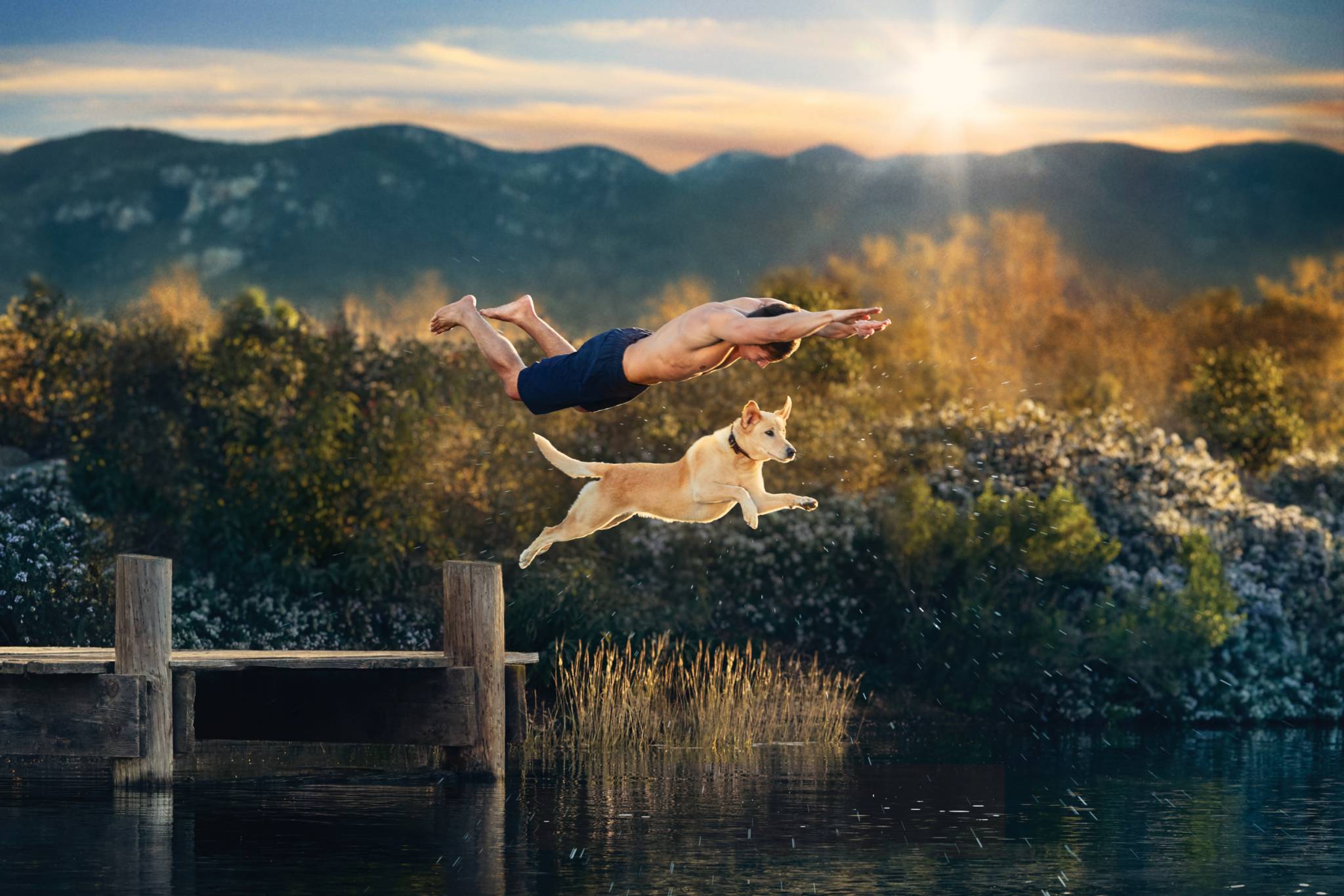 Performance Pet Food: PetSmart, Purina Want to Nourish Your Outdoorsy ...