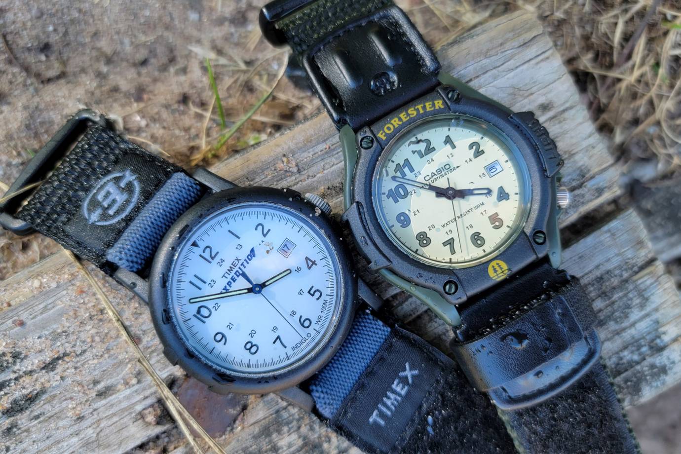 Casio vs. Timex: Cheap Watch Torture Test Showdown | GearJunkie