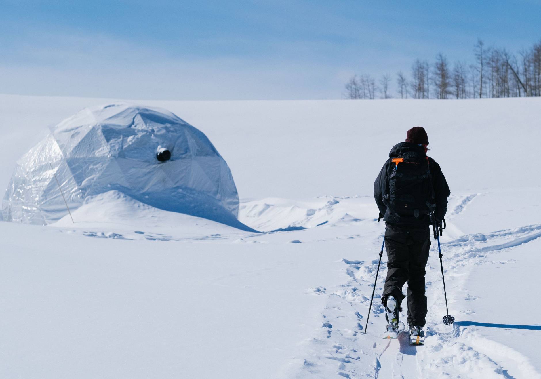 Out of Business: Bluebird Backcountry Announces Permanent Closure ...