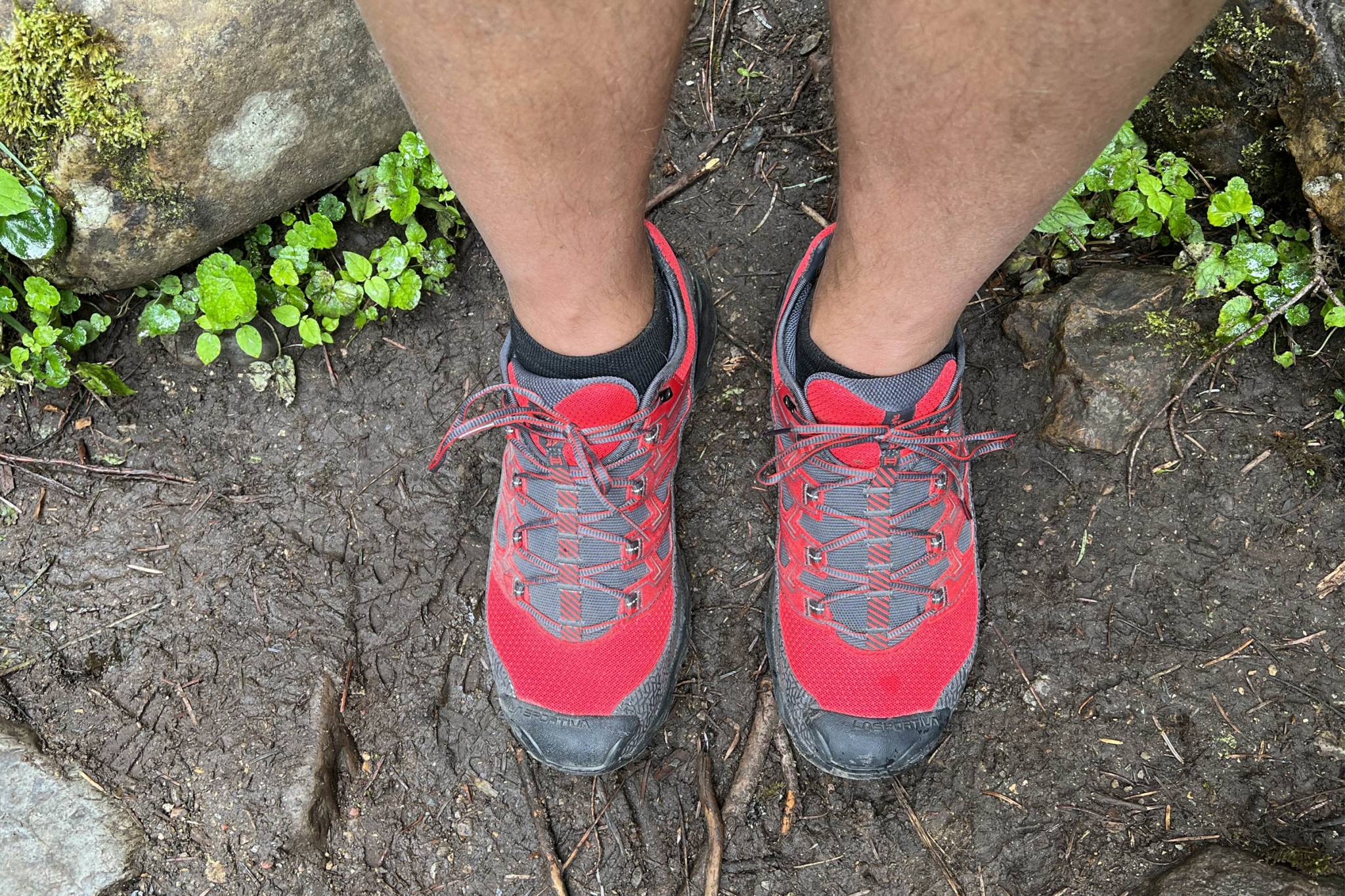 A Monster Shoe for Mountain Terrain: La Sportiva Ultra Raptor II Trail ...