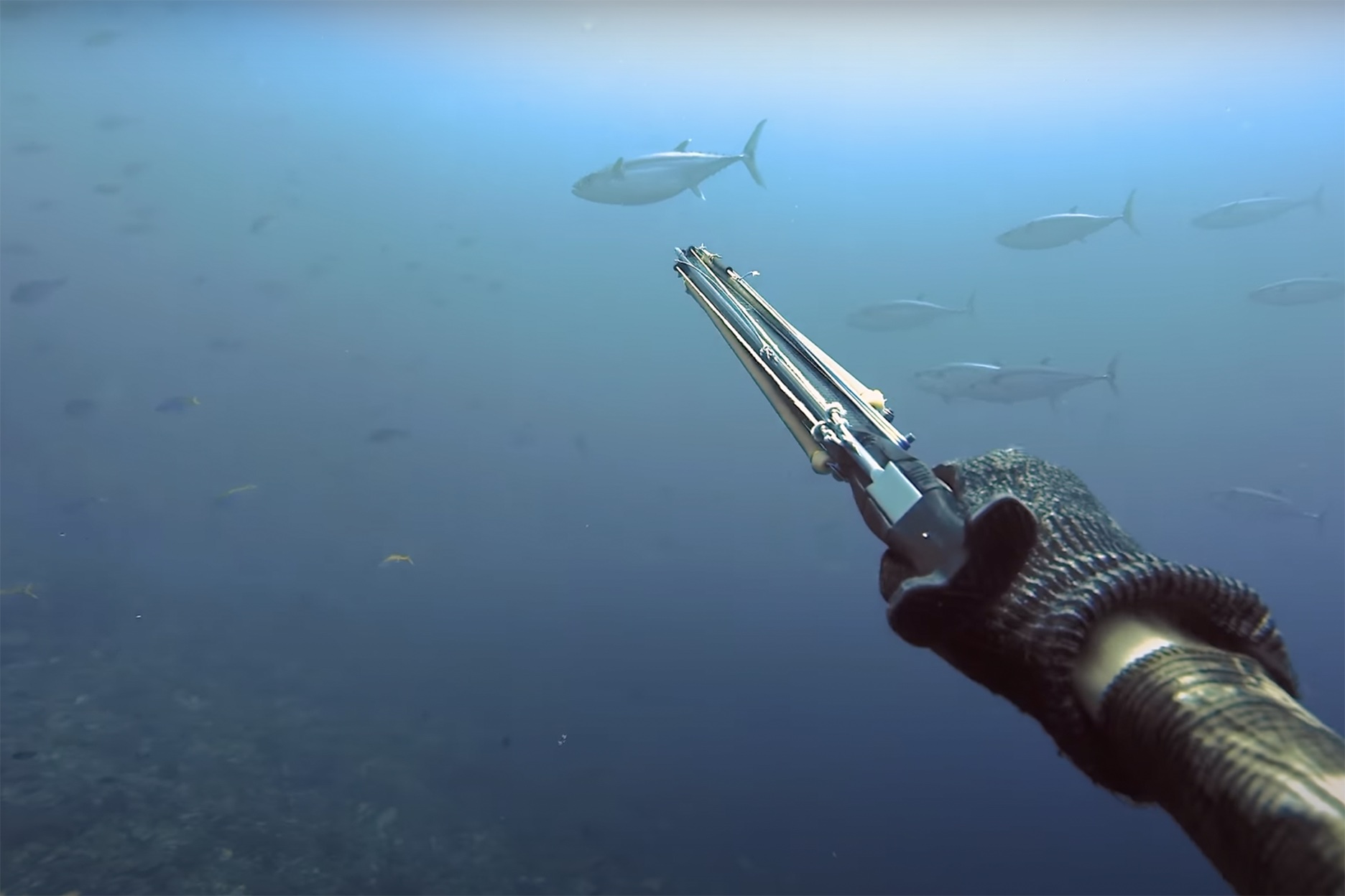 YouTube Deems Certain Fishing Content Inappropriate for Kids | GearJunkie