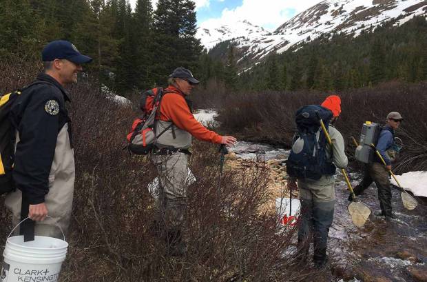 Colorado's 'Extinct' State Fish Makes Comeback in 'Huge Breakthrough ...