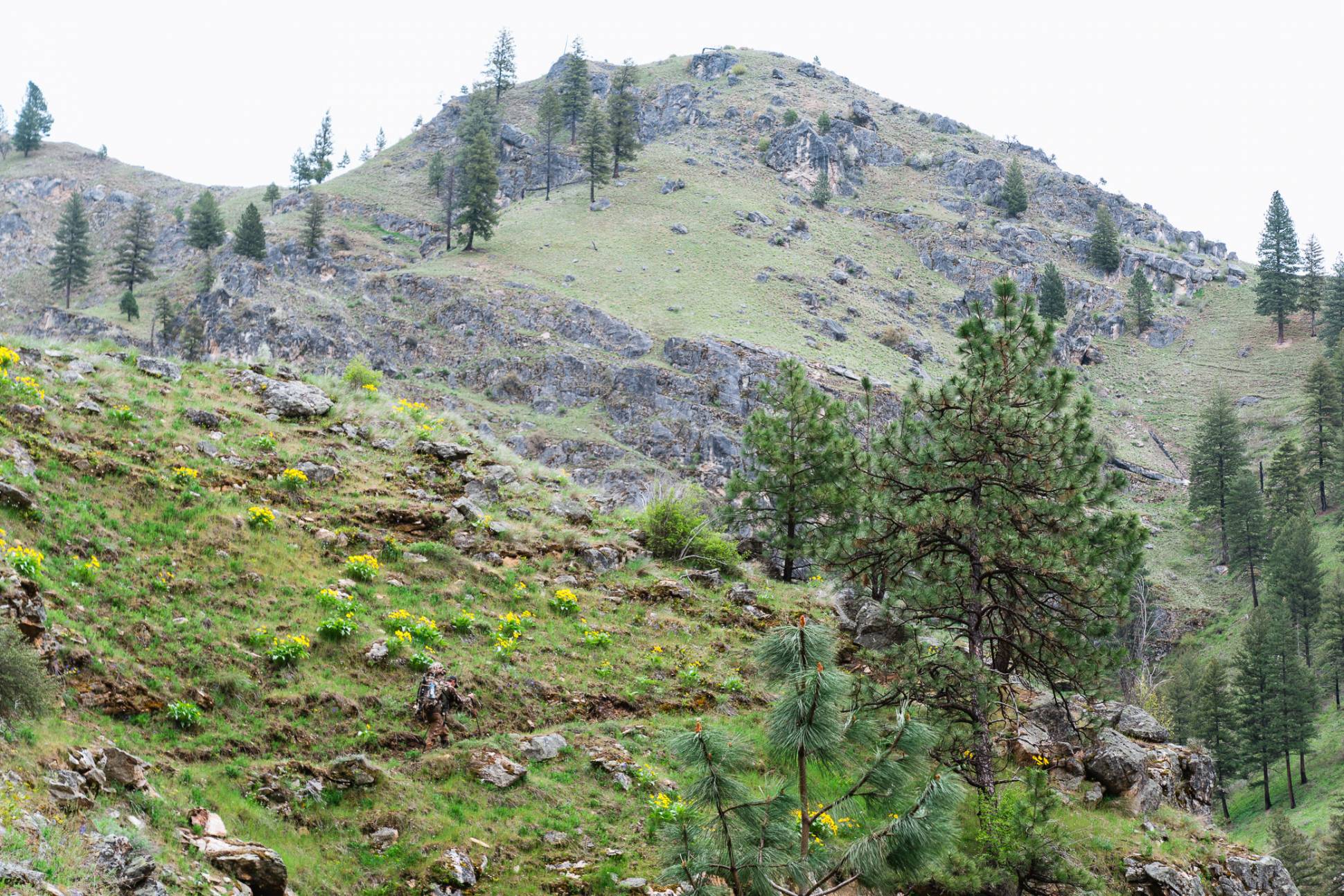 Fall Bear Hunting: Proven Tactics for Success in the West | GearJunkie