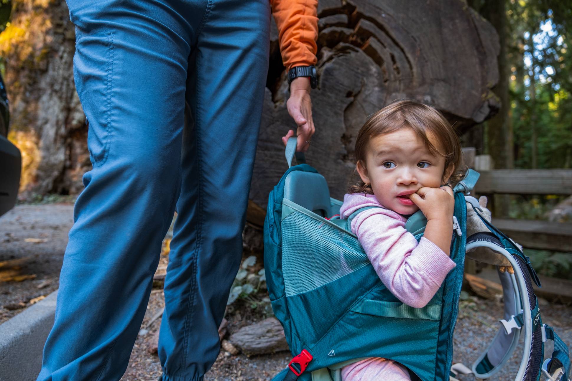Osprey Poco LT Child Carrier Review: Carry the Kiddo on Longer, Wilder ...