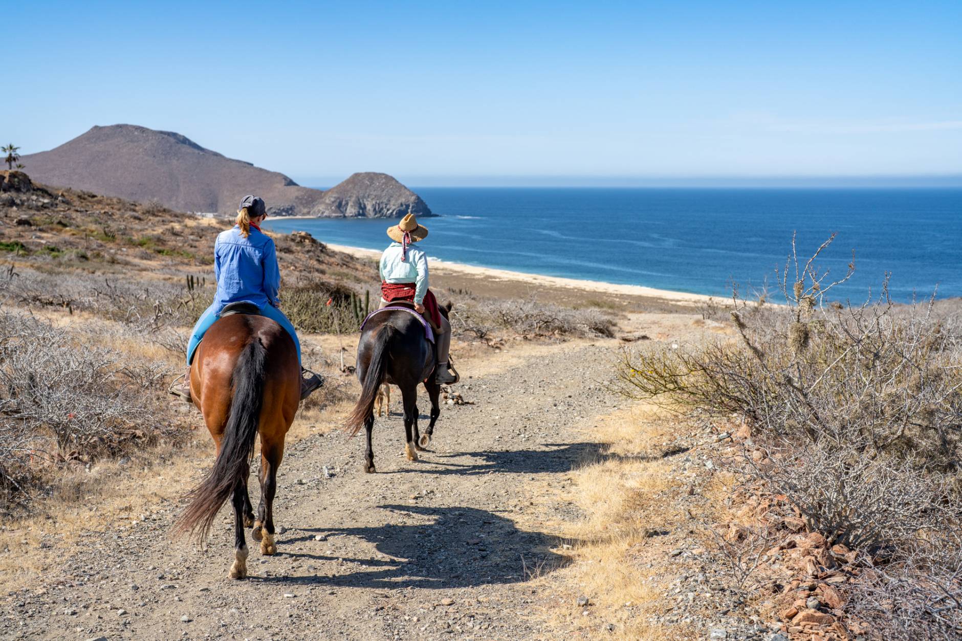 Sea-to-Sierra Trips in Baja California Sur: A Guide to Surfing and ...