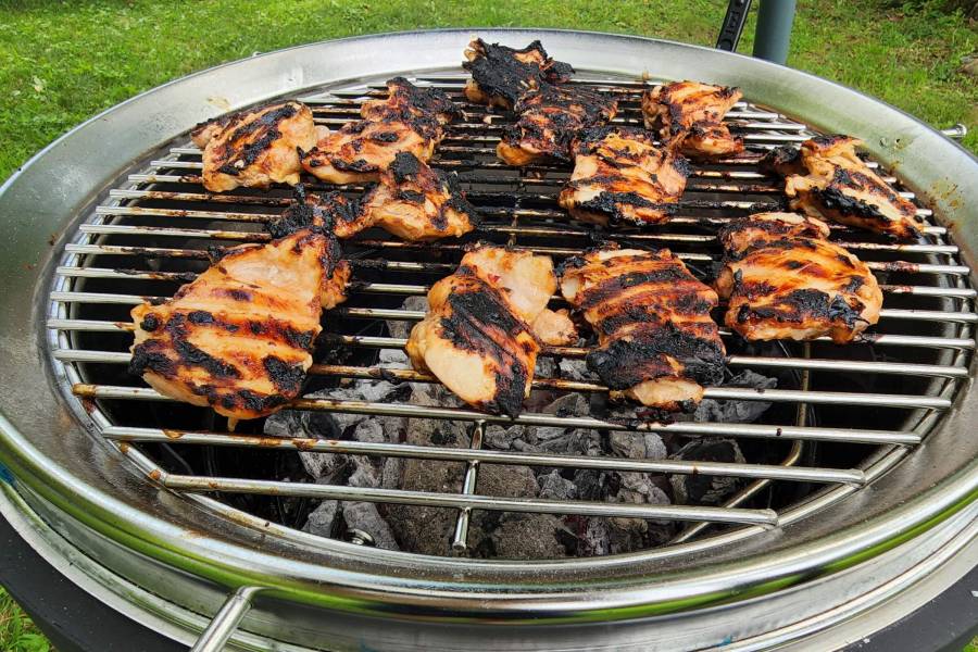 'Burch Barrel' Smoker Review: This Grill Is the Life of the Party ...