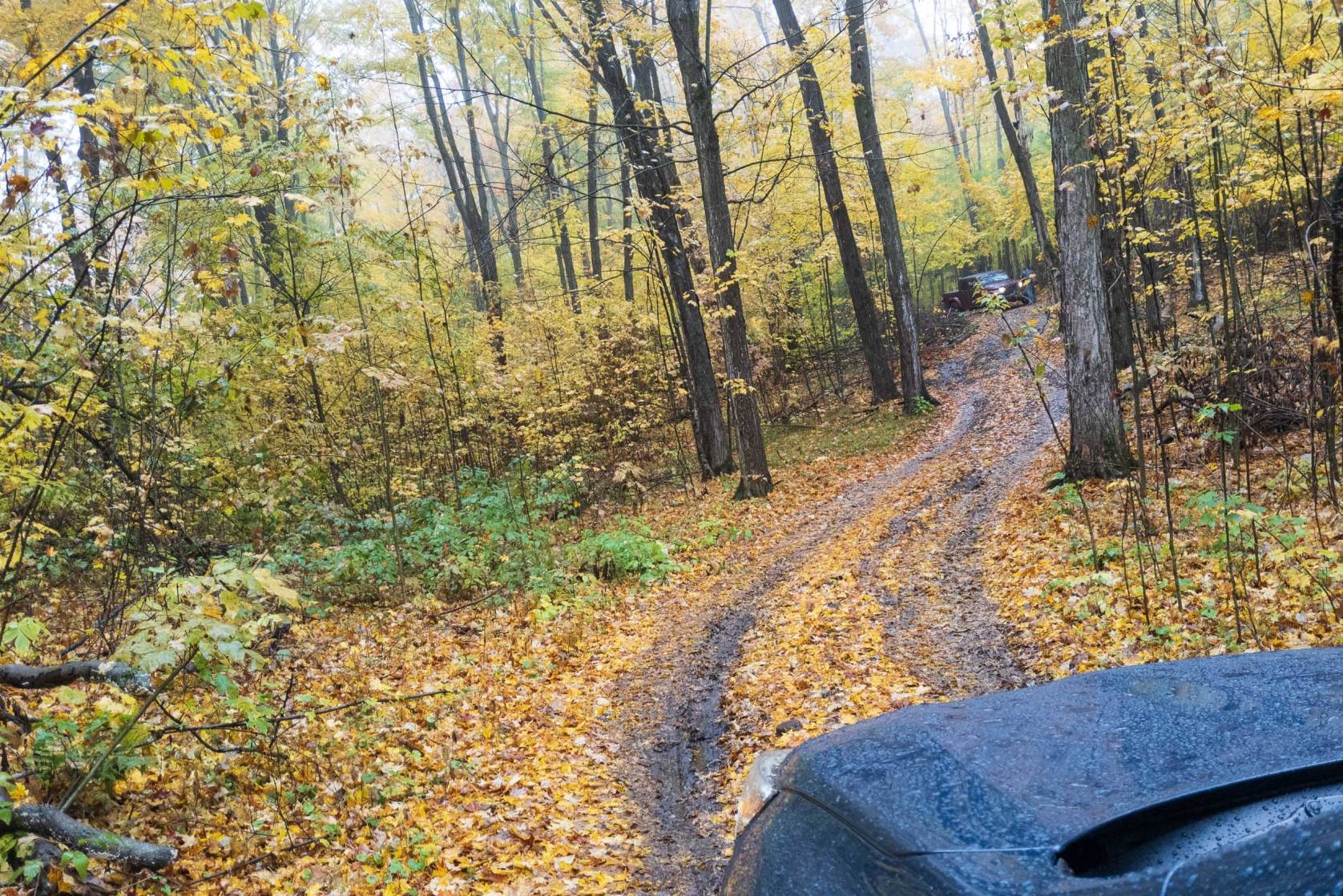 Fall Driving Tips: Even AWD Couldn't Save Me | GearJunkie