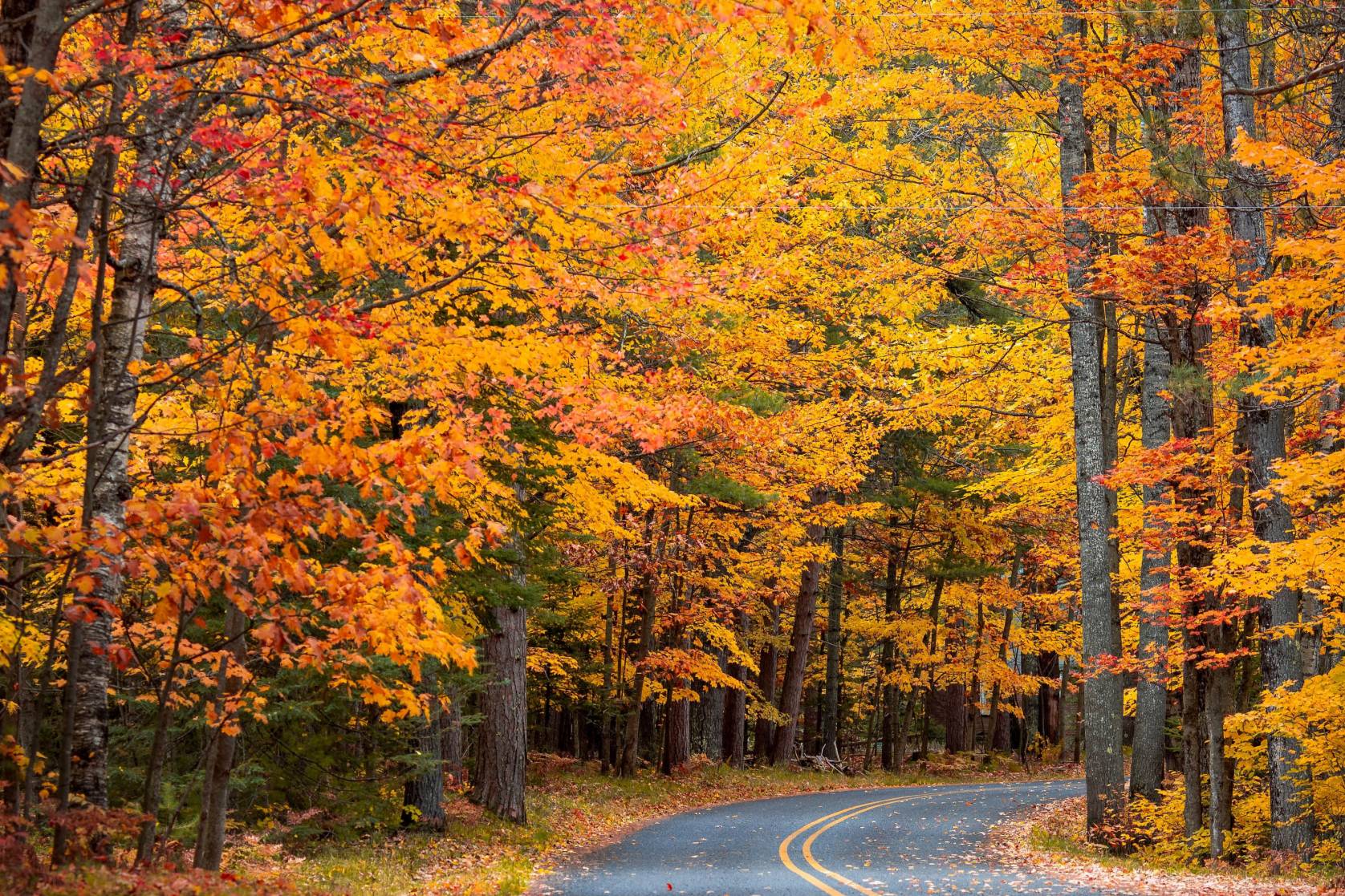 Fall Leaves Rides: Best US Motorcycles Routes
