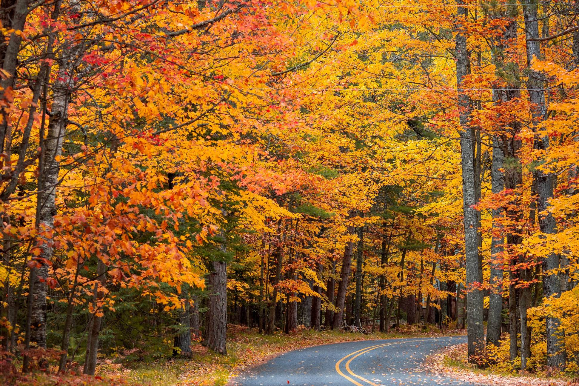 Fall Leaves Rides: Best US Motorcycles Routes