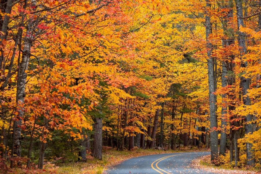 Fall Leaves Rides: Best US Motorcycles Routes