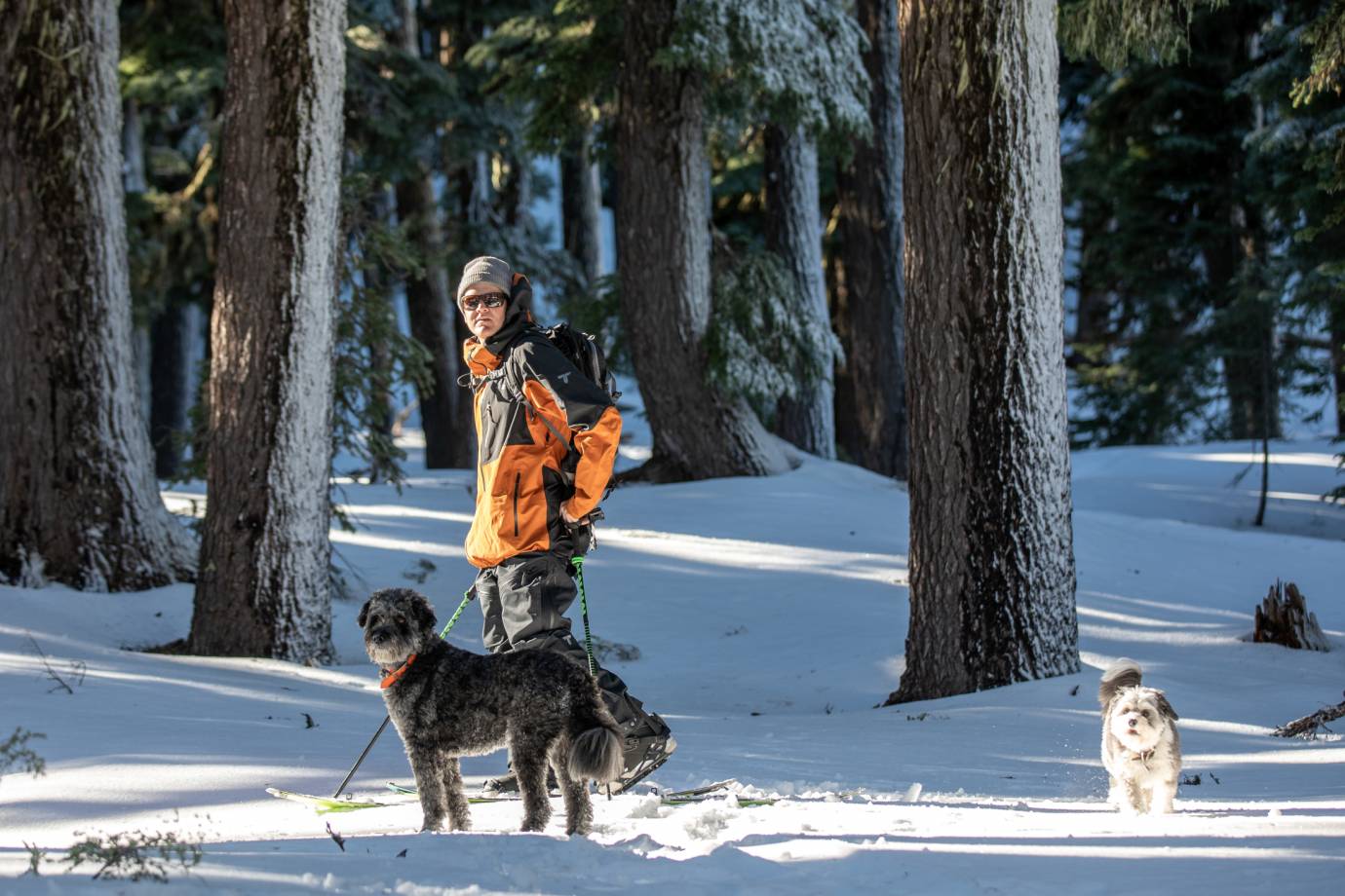 Backcountry Snow: How the 'Chillest Humans' Shred in the Coldest ...