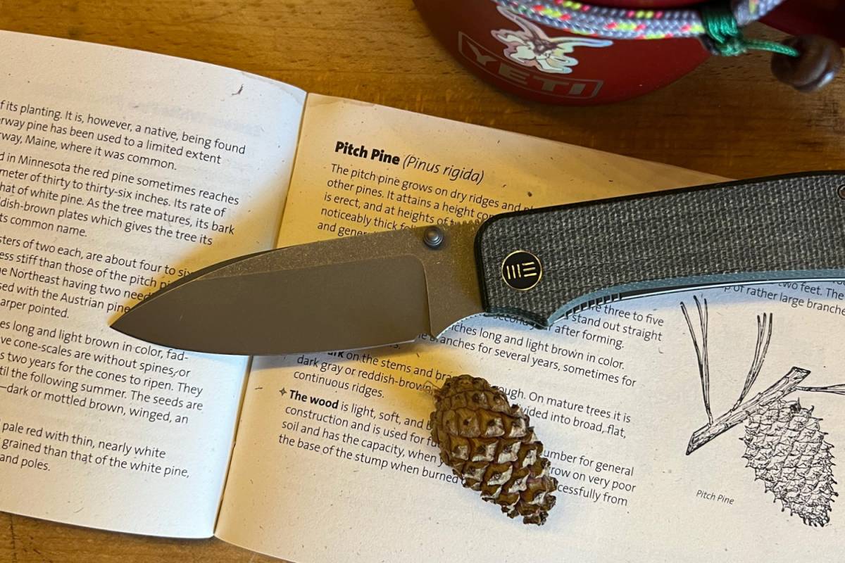 WE Knife Big Banter Review: Small Enough for Anywhere, Big Enough for ...