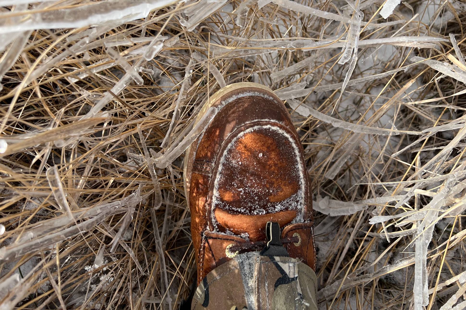 Irish Setter Wingshooter Upland Hunting Boots Review | GearJunkie
