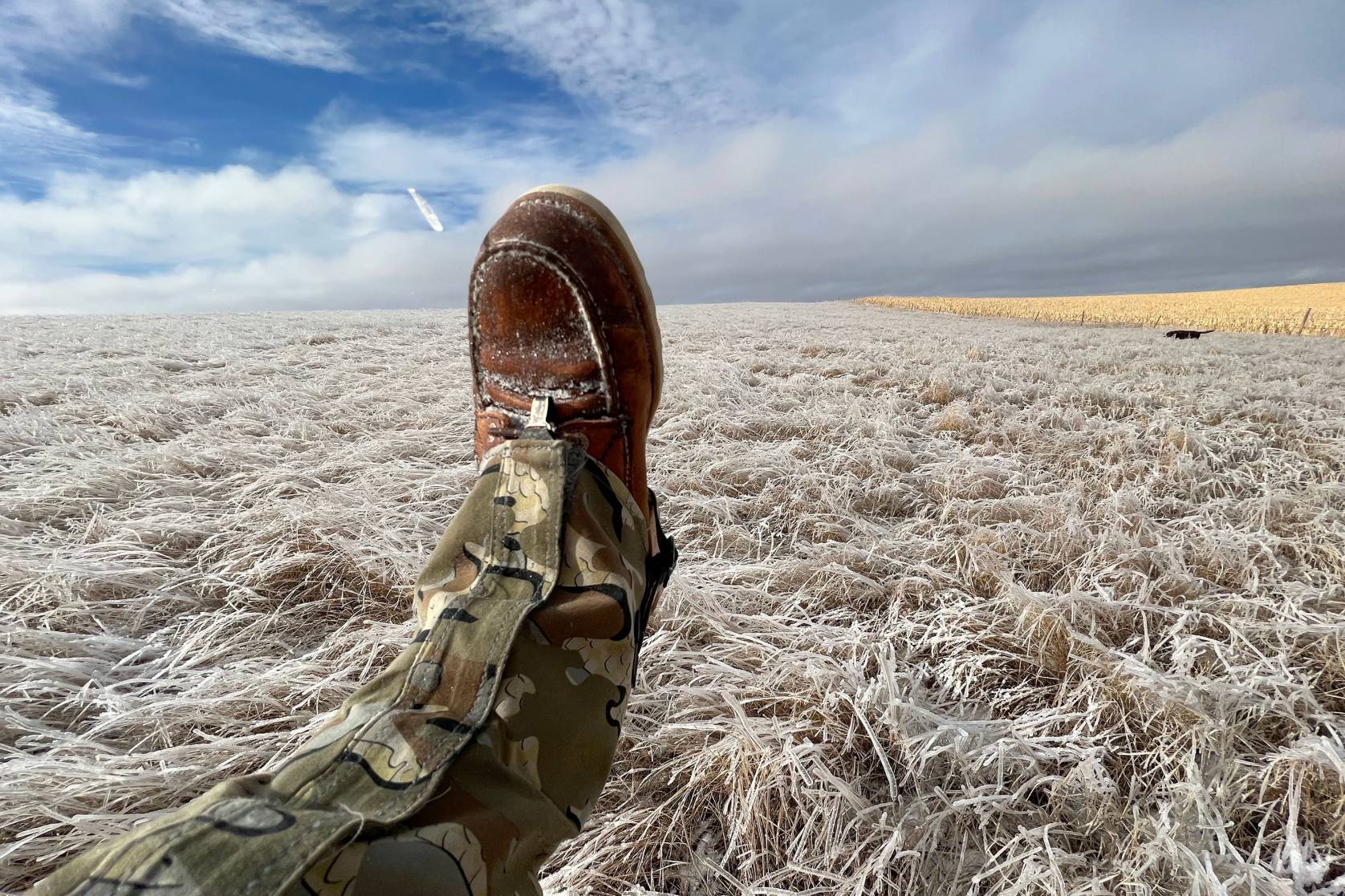 Irish Setter Wingshooter Upland Hunting Boots Review | GearJunkie