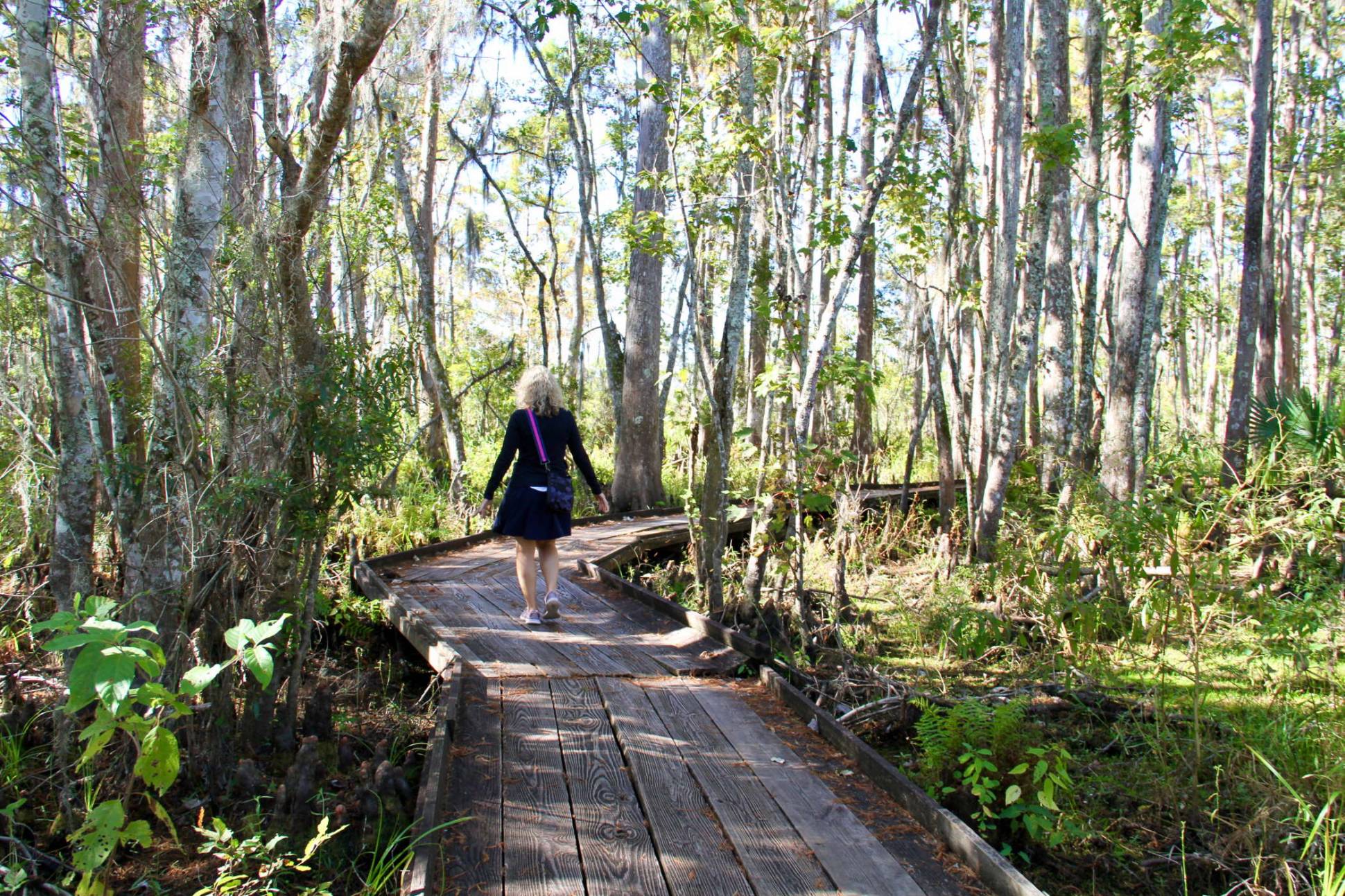 The Other Wild Side of New Orleans: Kayaking, Hiking, Biking Around the ...