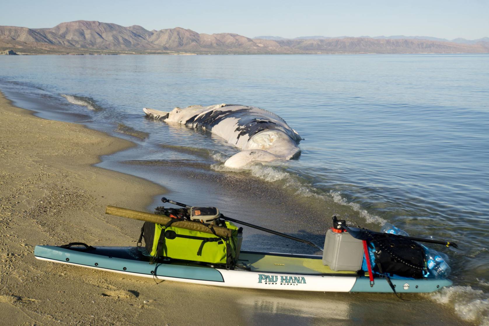Pau Hana Endurance XL Standup Paddleboard Review: This Ultimate ...