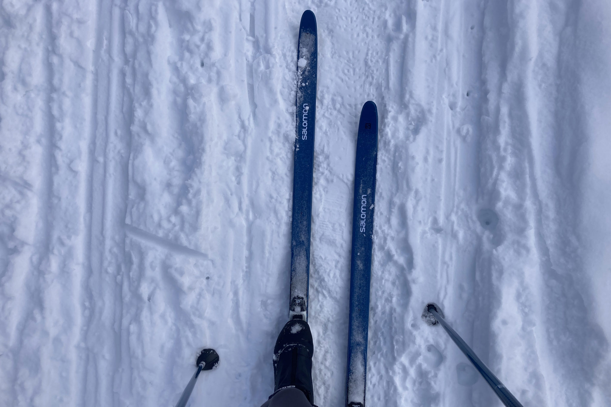 Salomon Snowscape 7 Posigrip XC Skis Review: Ditch the Wax and Hit the ...