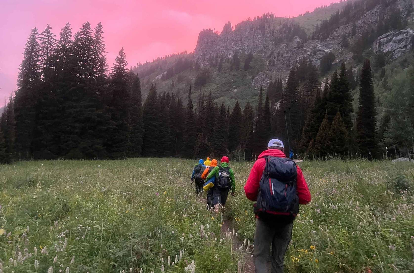 Apple's Crash Detection Causing False Alarms for 911 Across North ...