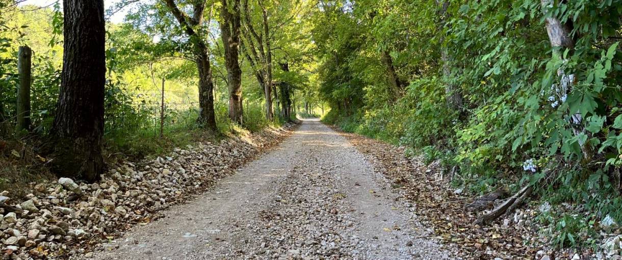 The World’s Best Gravel Bike Destinations According to Trek Travel ...