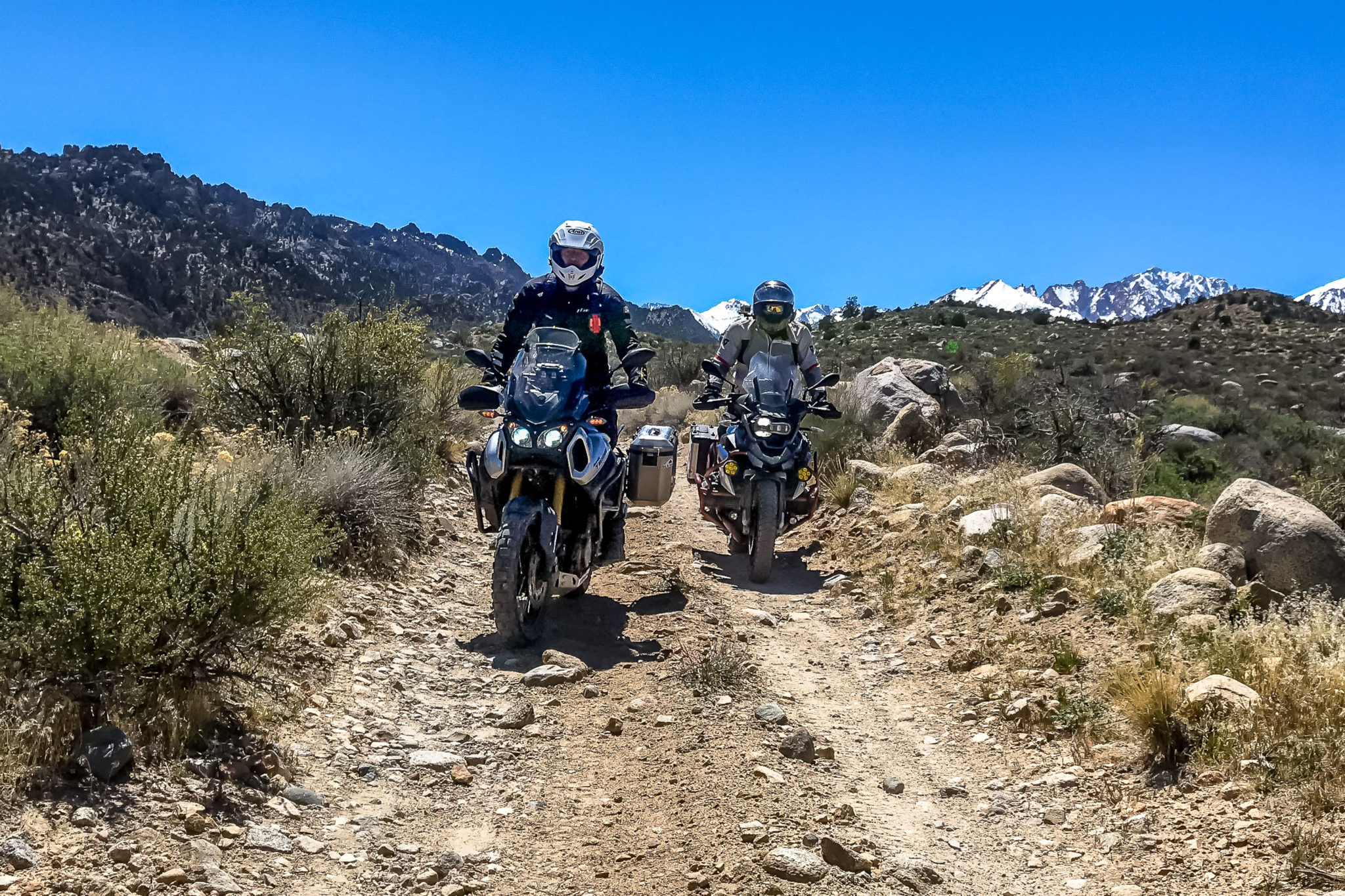 The Best Adventure Motorcycles: Ride Everywhere | GearJunkie