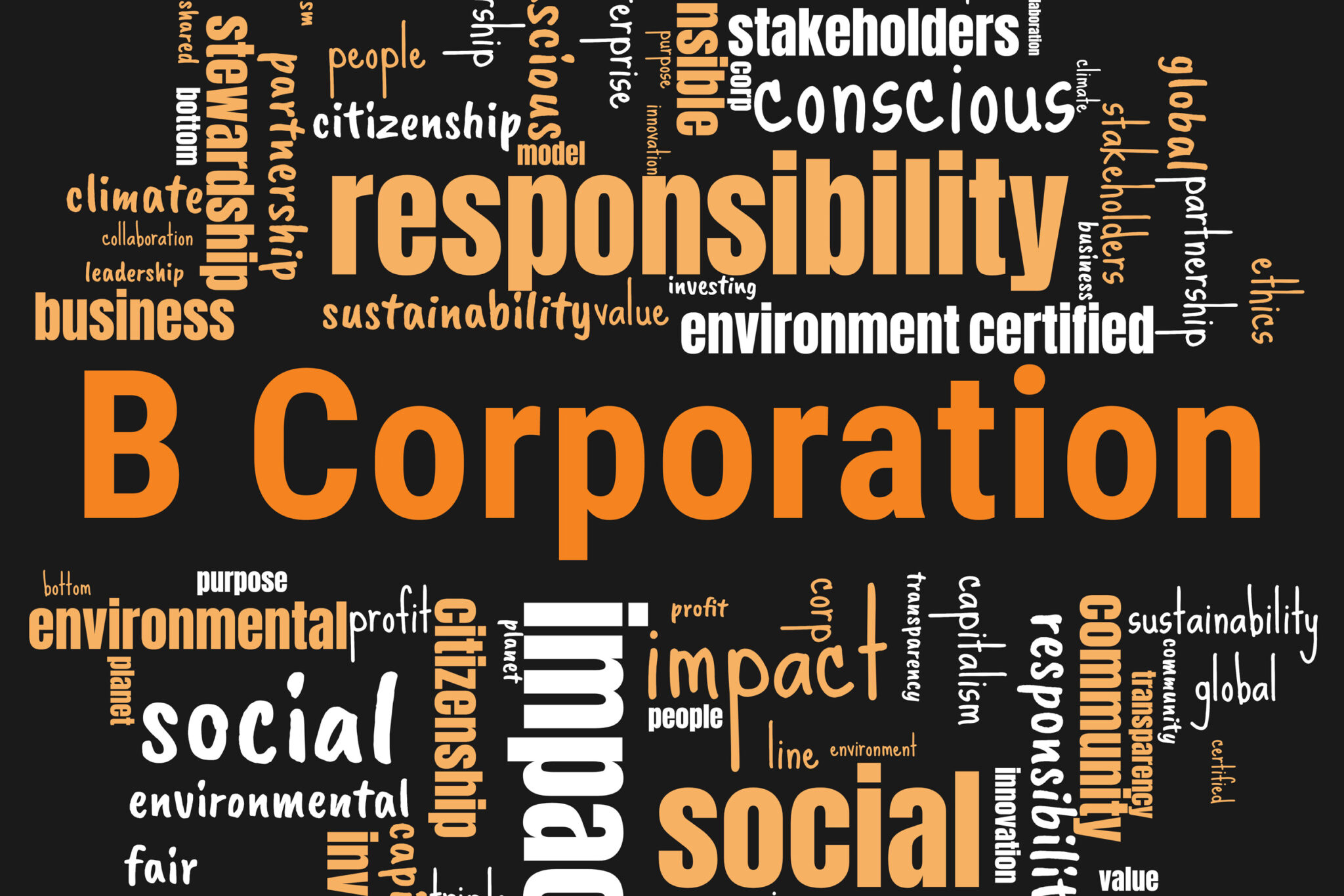 B Corp Gone Bad? One Company’s Futile Fight Against a Beneficent Giant ...