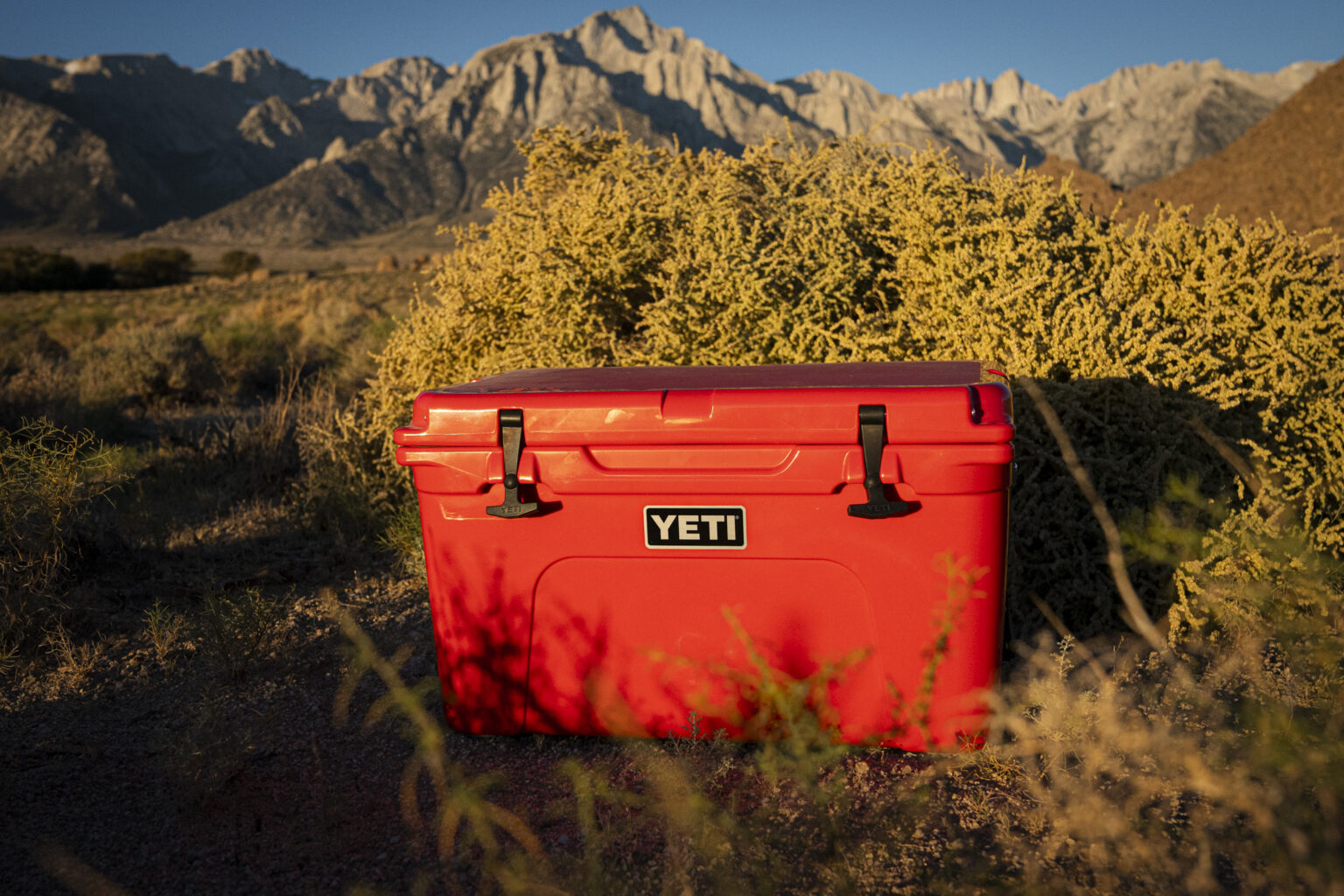 The Best Coolers of 2026 | GearJunkie Tested