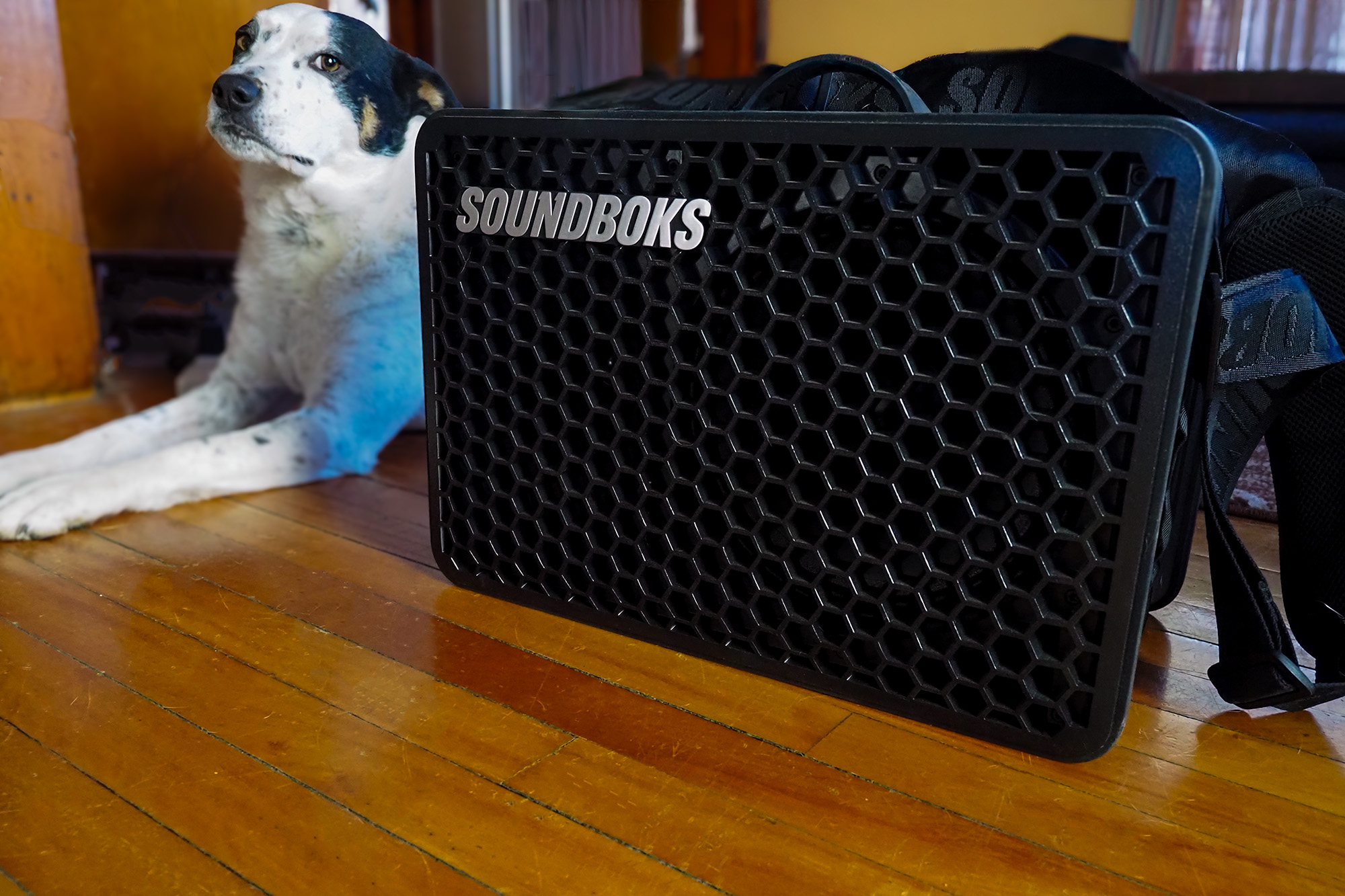 SOUNDBOKS Go Portable Speaker Review | GearJunkie Tested