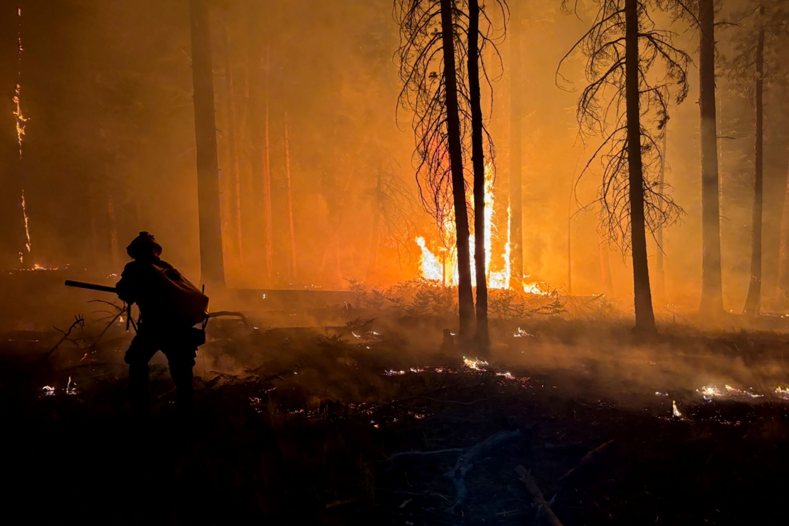 National Park Crews Close Grand Canyon's North Rim Until Mid-2026 ...