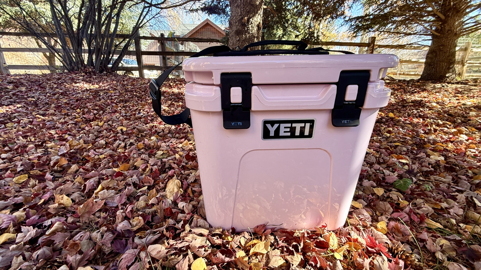 YETI Roadie 24 Review | GearJunkie Tested