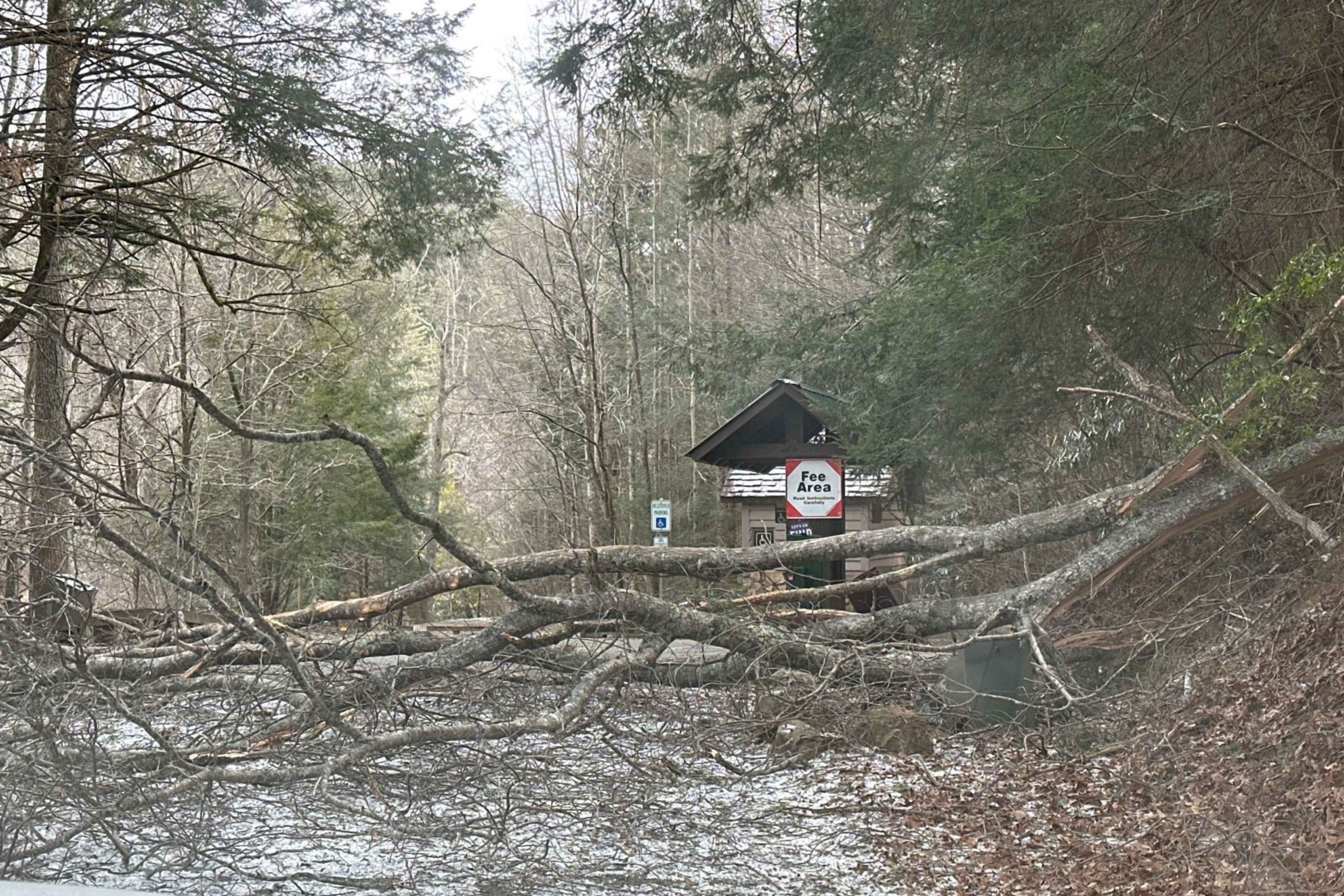 Damage Report: Winter Storm Ravages Appalachian Trail in Georgia ...