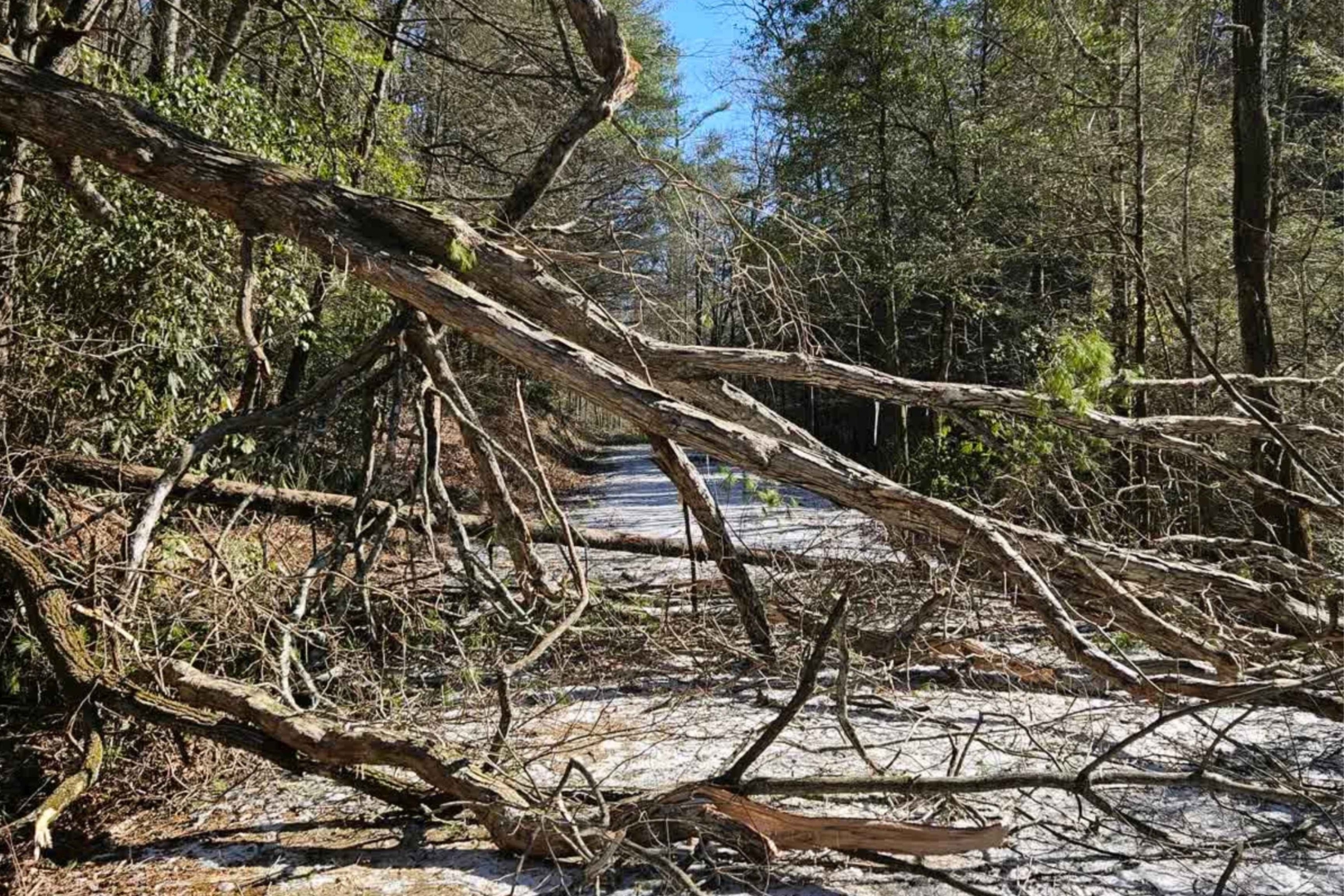 Damage Report: Winter Storm Ravages Appalachian Trail in Georgia ...