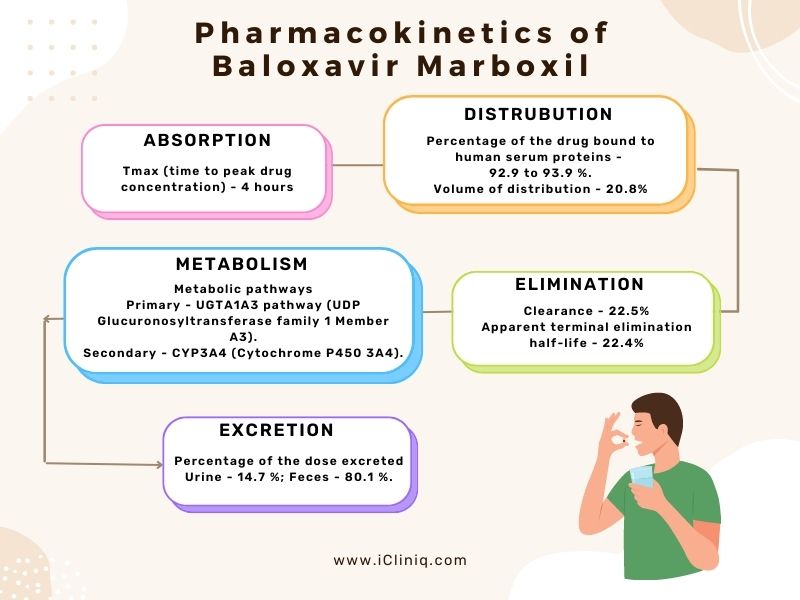 How Does Baloxavir Marboxil Work to Treat Influenza?