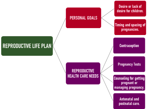 What Is Unintended Pregnancy?