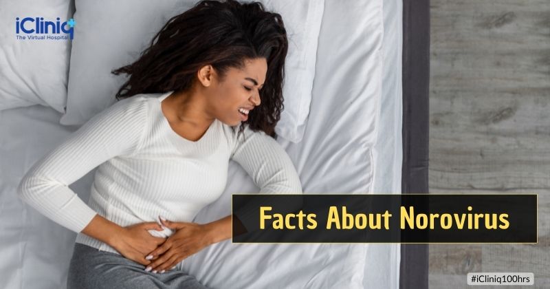 Facts About Norovirus - Health Tips | iCliniq