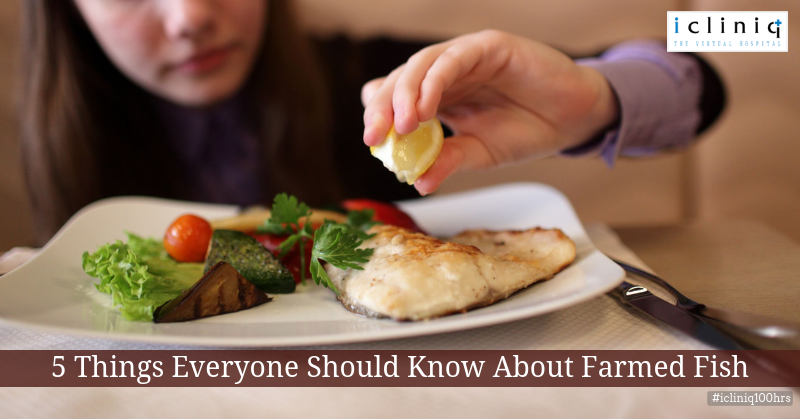 5 Things Everyone Should Know About Farmed Fish - Health Tips | iCliniq