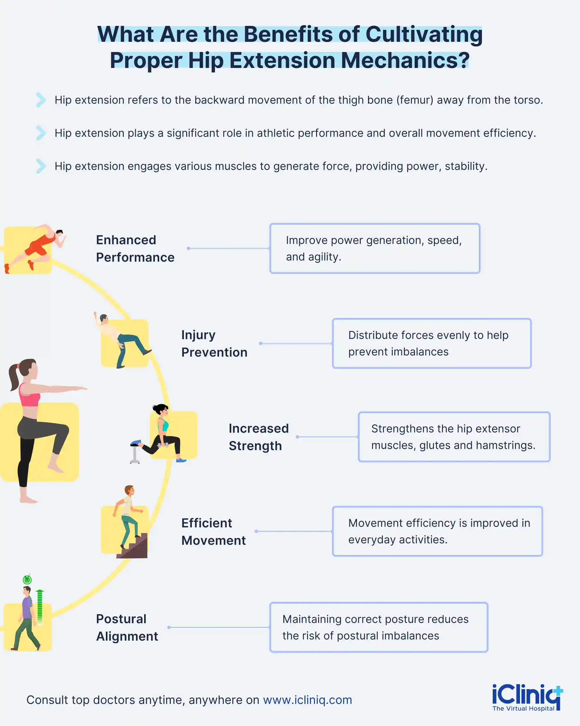 What is the Role of Hip Extension?