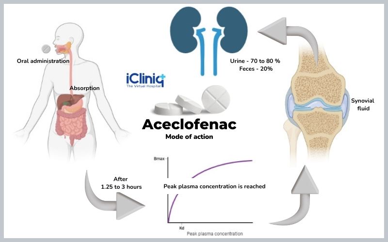 What Are the Uses of Aceclofenac?