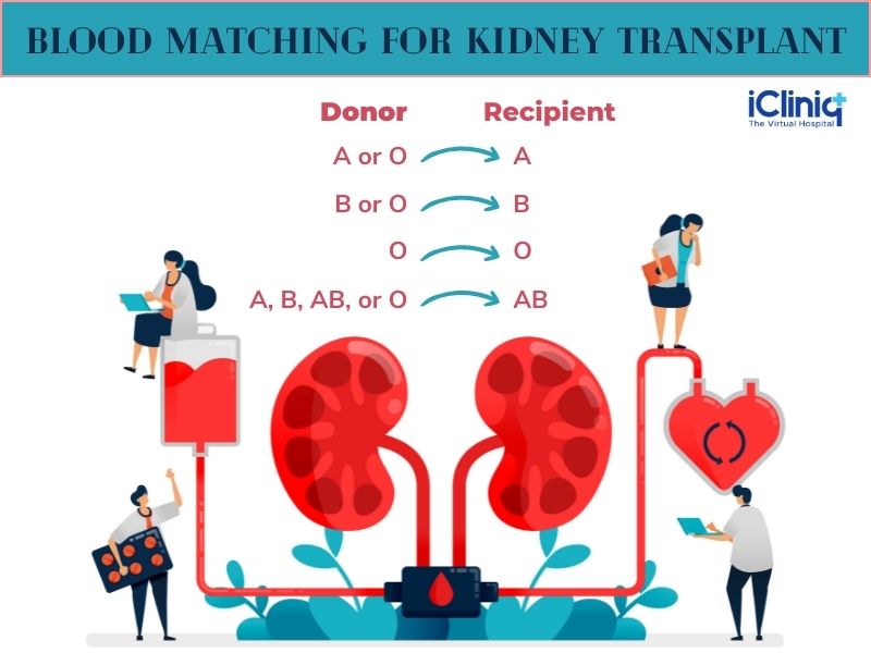 What Is a Kidney Transplant?