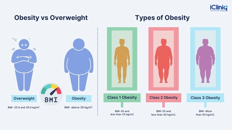 What is Obesity?