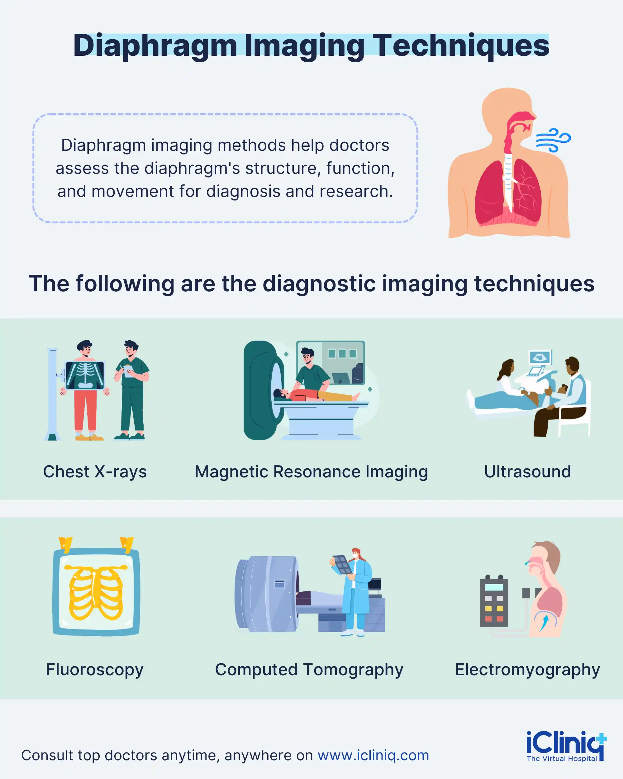 What Are the Diaphragm Imaging Techniques?