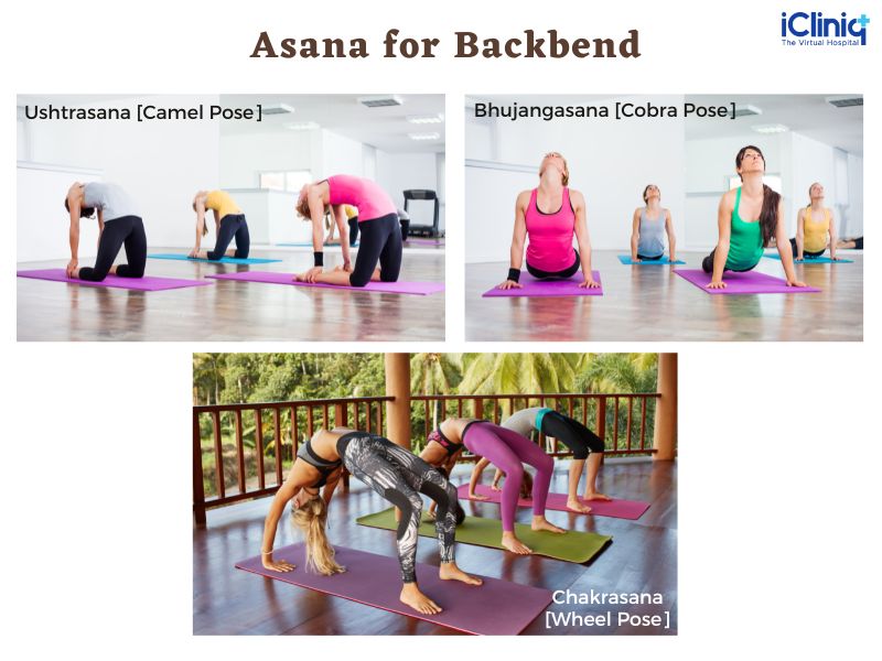 What Are the Fundamentals and Details of Backbend and Twists?